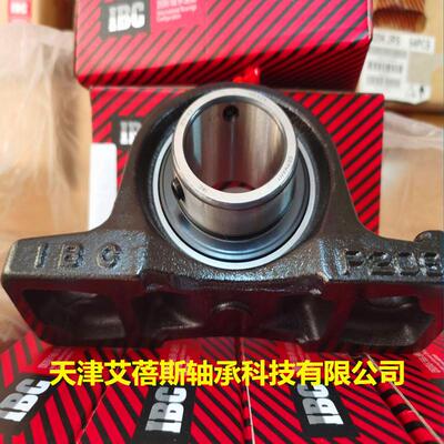 国德IBC精密高速NP306CCBNAPA306D1NAP306-17带座面外球轴承