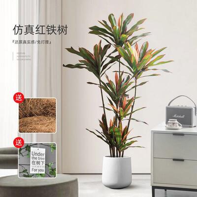 红铁地树绿植落室PDD10233内轻奢大型件客厅仿生摆假树绿植物盆栽