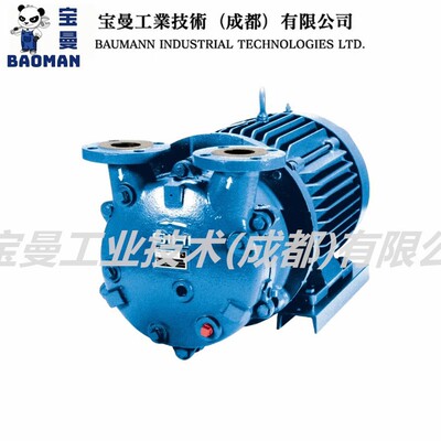 全新Flowserve福斯LEMD系列液环真空泵单级容积泵低噪音抗振动