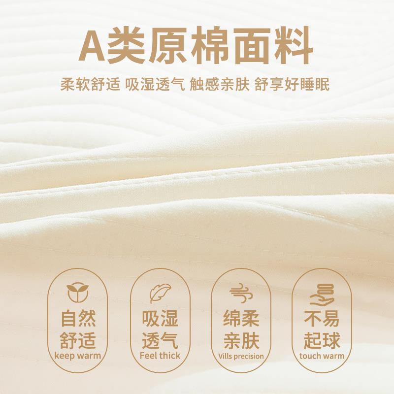 A类夹棉床笠夹棉加厚防2024新床款加厚罩罩席梦思床滑垫保护罩防