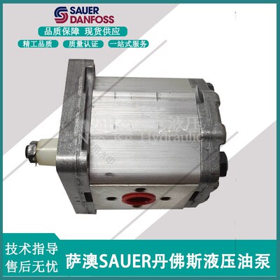 萨澳SAUER Danfoss丹佛斯齿轮泵SNP1NN/1.2/2.2/6.0/7.8/010RN01