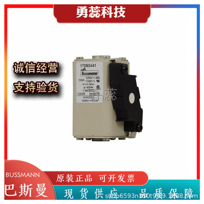 保险丝熔断器170M3439/3440/3441
