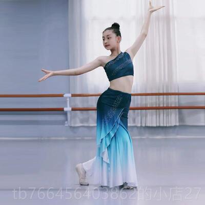 新款儿童傣族雀舞蹈出服装目表演服成人演剧考级艺考练功鱼尾裙女
