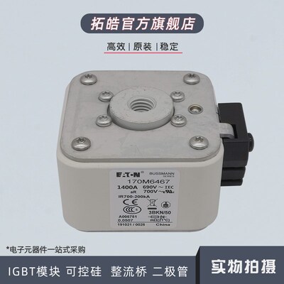 快速熔断器保险丝170M6462/6463/6464/6465/6466/6467/6468全新