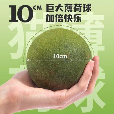 猫薄荷球猫咪玩具自嗨解闷小猫猫磨牙耐咬消耗体力逗猫棒宠物用品