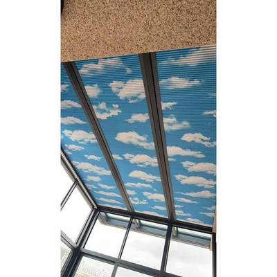 阳光电房遮阳顶帘防嗮帘玻光璃房顶天帘棚全遮动蜂巢隔88005热防