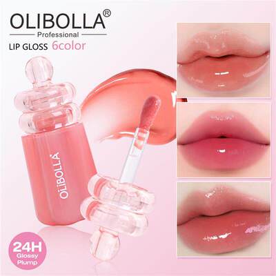 6 Shades Mirror Plumping Lip Gloss 六色水光丰唇镜面唇釉