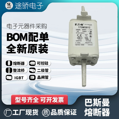 170M3816 170M3817 170M3818 170M3819 bussmann伊顿巴斯曼熔断器