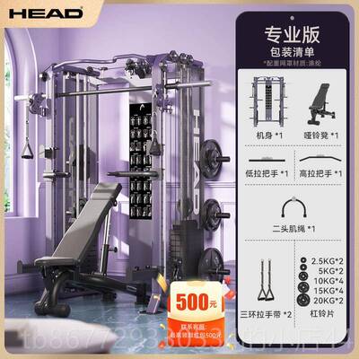 高档HEAD海德龙门一架家健身练房器用材多功能体机飞鸟史密斯综合