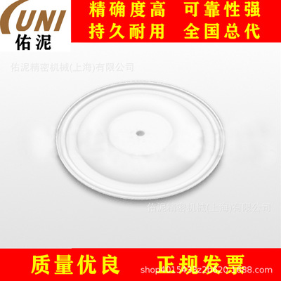 威马Versa-MaticTV224TF泵PTFE膜