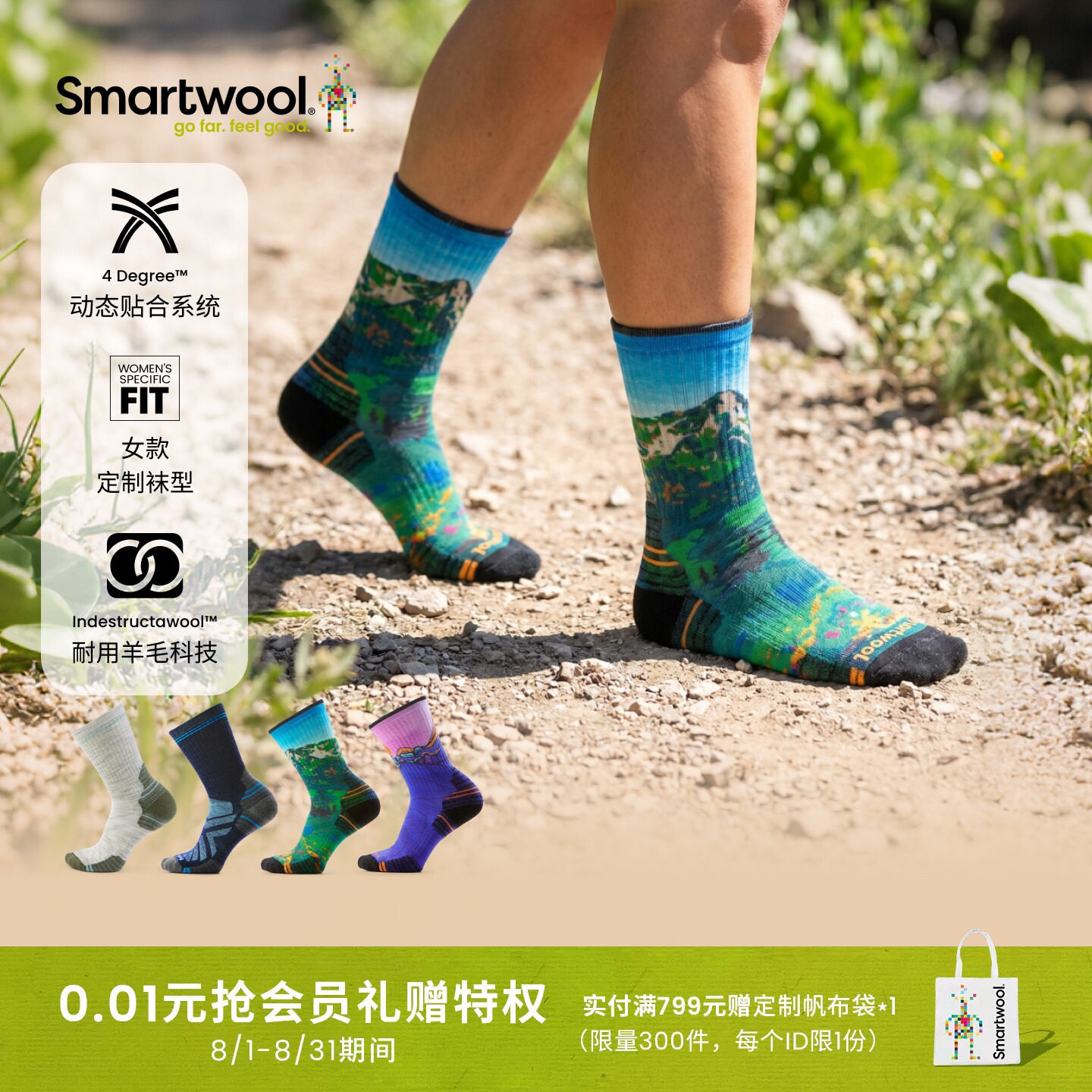 Smartwool新品美丽诺羊毛女款区域轻量减震中筒袜耐穿户外徒步