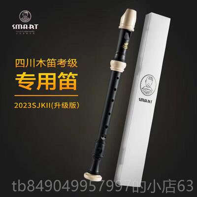 高档智能8孔哨高音口记录小器升Sjk2中学音乐教育等级考试与级英