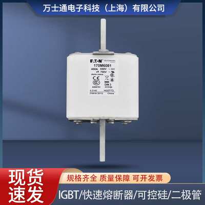 巴斯曼170M6080170M6081170M6082170M6083170M6084608560866087