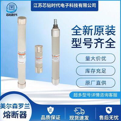 FD20GB100V16TtC089495 FD20GB100V20TtD089496 罗兰熔断器