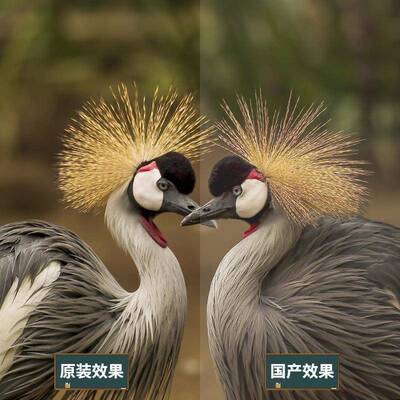 W1070+5W1601080STHT108ST10715240/E20.9nJ.J7L05.005投影灯泡