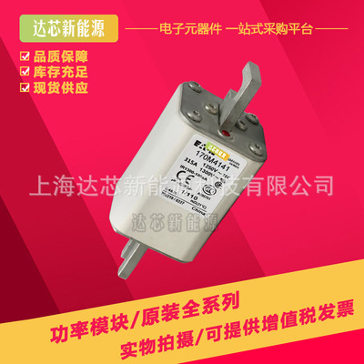 170M4214-170M4219熔断器