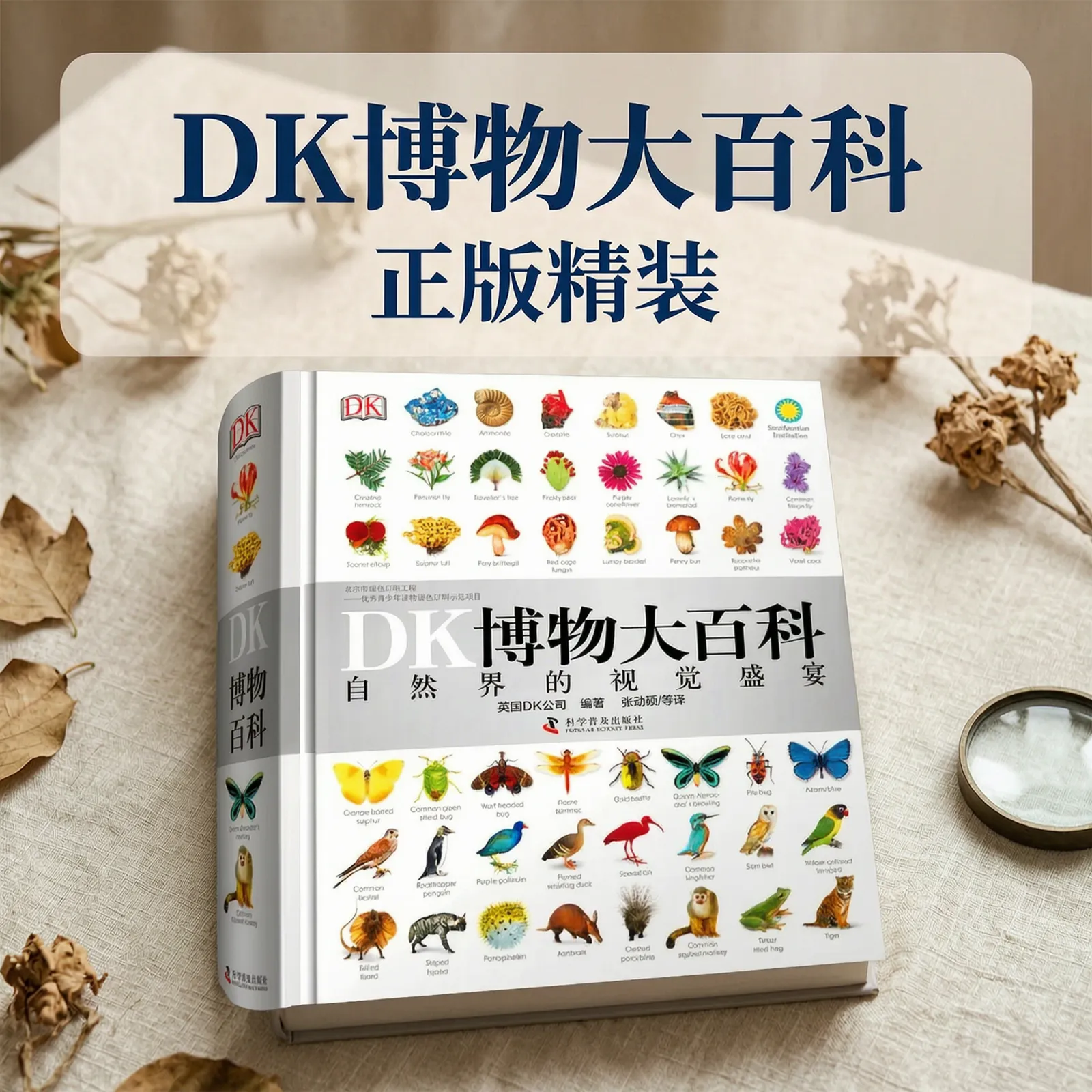 dk博物大百科全书中文正版精装版地球大百科生物万物大百科全书儿童动物植物小学生博物馆大百科科学大百科自然界