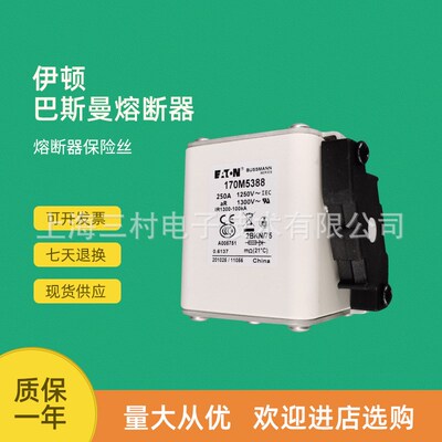 全新原装快速熔断器保险丝170M5445 170M5446 170M5447 170M5448