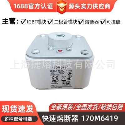 170M6419 170M6420 快速低压熔断器 直流 熔芯 电子元器件 现货