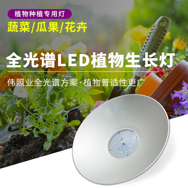 大功率FBA室温大棚花卉肉多蔬菜植e物补光灯全光谱ld植物生长灯gr
