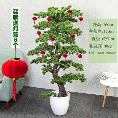 幸福树迎客松花景客厅玄摆AL102502件室装关饰树假仿真植物盆栽内