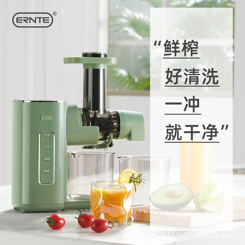德国ERNTE原汁机榨汁机汁渣分离多功能家用果汁炸汁机水果打汁机