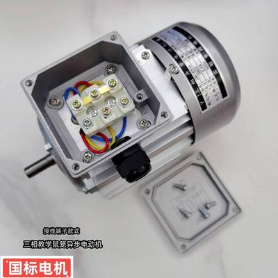三相鼠笼异步电动机电机 JW6314 380V变频器用接线端子款教学电机