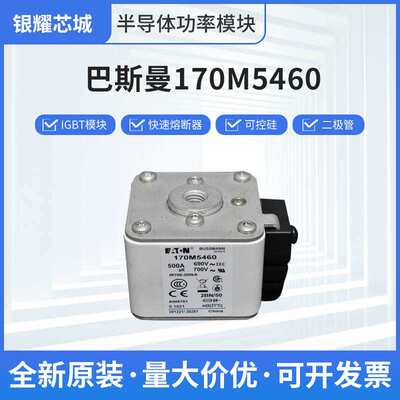 巴斯曼170M5460隔离熔断器
