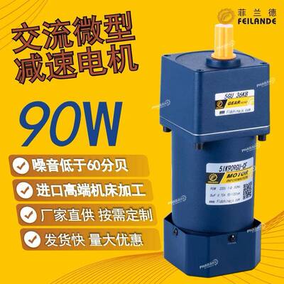 厂家现货直供90W微型交流减速电机 FEILANDE
