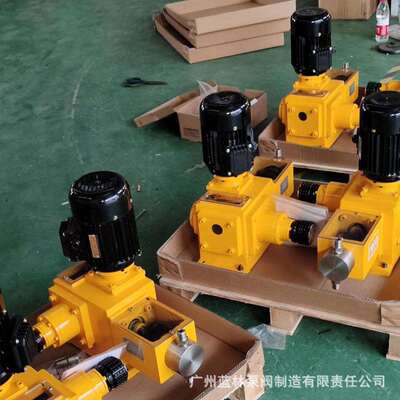 DZ-X型柱塞式计量泵厂家 现货供应DZX75/2.5不锈钢柱塞计量泵