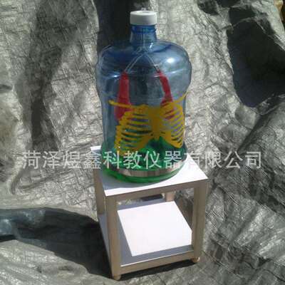 煜鑫科教仪器 供应 膈肌运动模拟器 (手动) 33225 生物器材
