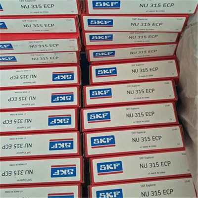 NU315ECM 瑞典轴承 NU316 317 318 319 320 322 324 326 NJ1024MA