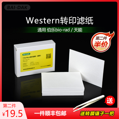 Western转印滤纸转膜滤纸通用伯乐Thick Blot FilterPaper1703932