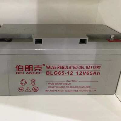伯朗克蓄电池BLG65-12 12V24/38/65AH100AH机房UPS/EPS直流屏配套