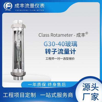 成丰仪表管螺纹接头 流量计大口径304材质浮子流量计可选卡箍接头