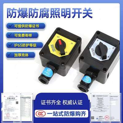 防爆防腐照明开关 BZM8050 ZXF8030 BZK 单极/双极 双控 FZM-10A