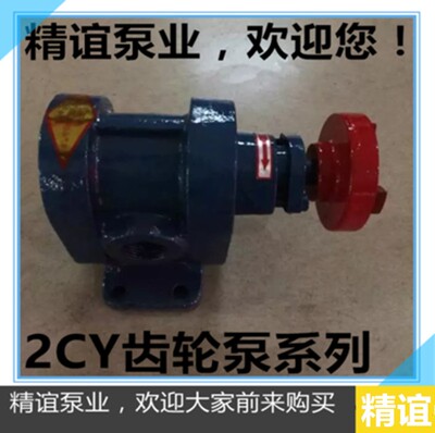 高温齿轮泵2CY1.08/2.5,2.1/2.5,3/2.5齿轮油泵渣油泵自吸泵头