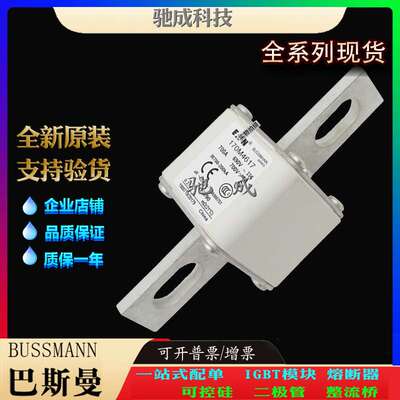 巴斯曼170M4616 170M4617 170M4618 厂家供货质优价廉 低压熔断器