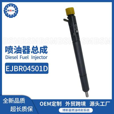 EJBR04501D喷油器总成德尔福配国双龙爱腾A6640170121