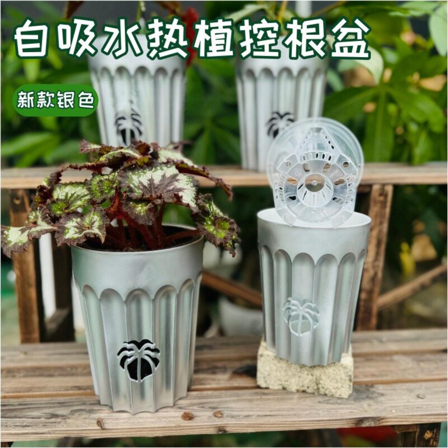 电镀银喷漆自吸水花盆透气透水控根盆套盆热植兰花烛海芋花盆