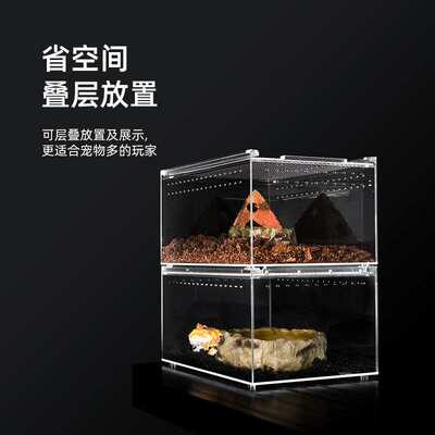 giangarden亚克力蜘蛛爬宠饲养盒角蛙独角仙豹纹守宫饲养箱宠物蛇