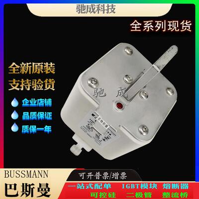 巴斯曼170M6861 170M6862 170M6863 现货直销零售 特种保险丝