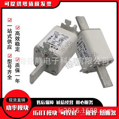 170M3068 170M3069 170M3070 170M3071 170M3072熔断器170M3073