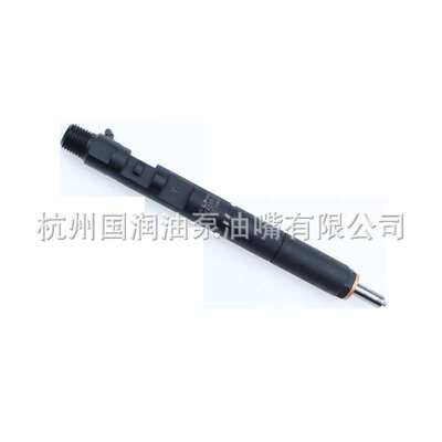 EJBR02801D 柴油共轨喷油器 33800-4X500适用现代起亚 德尔福总成