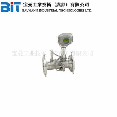 德国E+H恩德斯豪斯Proline Prosonic Flow G300超声波流量计包邮