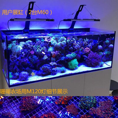 包爱尚邮思光捷fiwi式控制海水珊瑚缸LED海水珊瑚灯M60/M90/M120