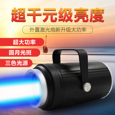 钓鱼灯激光炮夜钓分体大功率强光鲁泗顶点12V超亮黑坑氙气灯24V