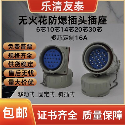 多芯乐清友泰无火花防爆插头插座连接器插销6芯10芯20芯30芯 YTGZ