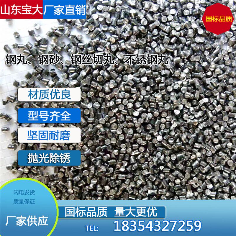 钢丝切丸抛丸机钢丸钢砂国标耐磨耐高温喷砂除锈强化合金不锈钢丸