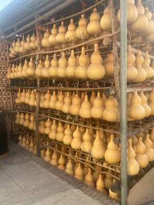 吉祥福禄大葫芦精品特大号天然葫芦亚腰皮厚响籽龙头粗大粗腰葫芦